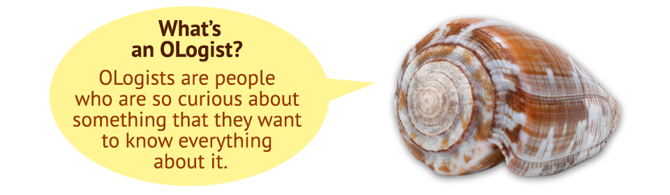 Meet the OLogist: Mandë Holford | AMNH