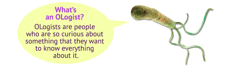 Meet the OLogist: Susan Perkins | AMNH