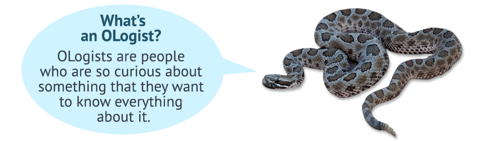 Meet the OLogist: Robert Voss | AMNH