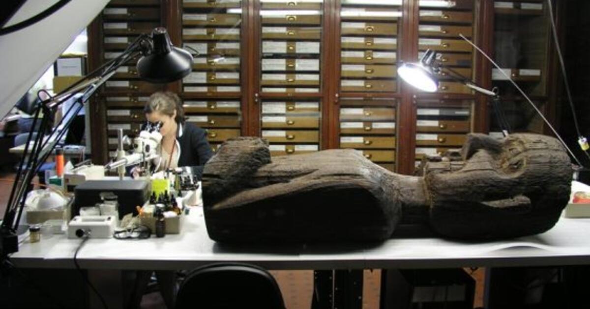 Anthropological Objects Conservation | AMNH