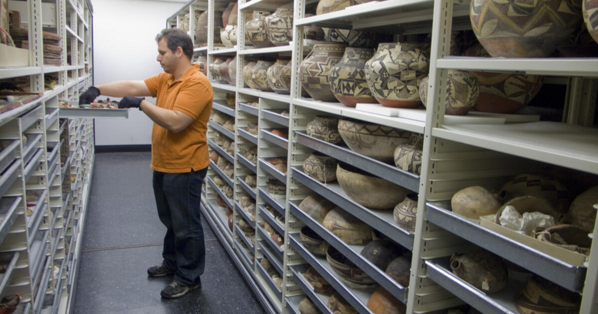 Anthropological Collections Management | AMNH