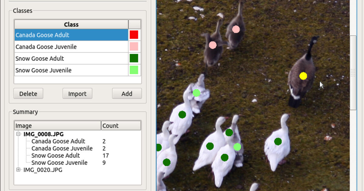 DotDotGoose is a Free Tool for Counting Objects in Images | AMNH