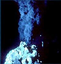Hydrothermal Vent Formation | AMNH
