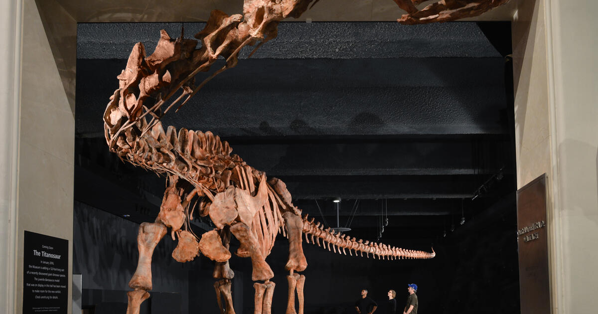 Meet Patagotitan mayorum! | AMNH