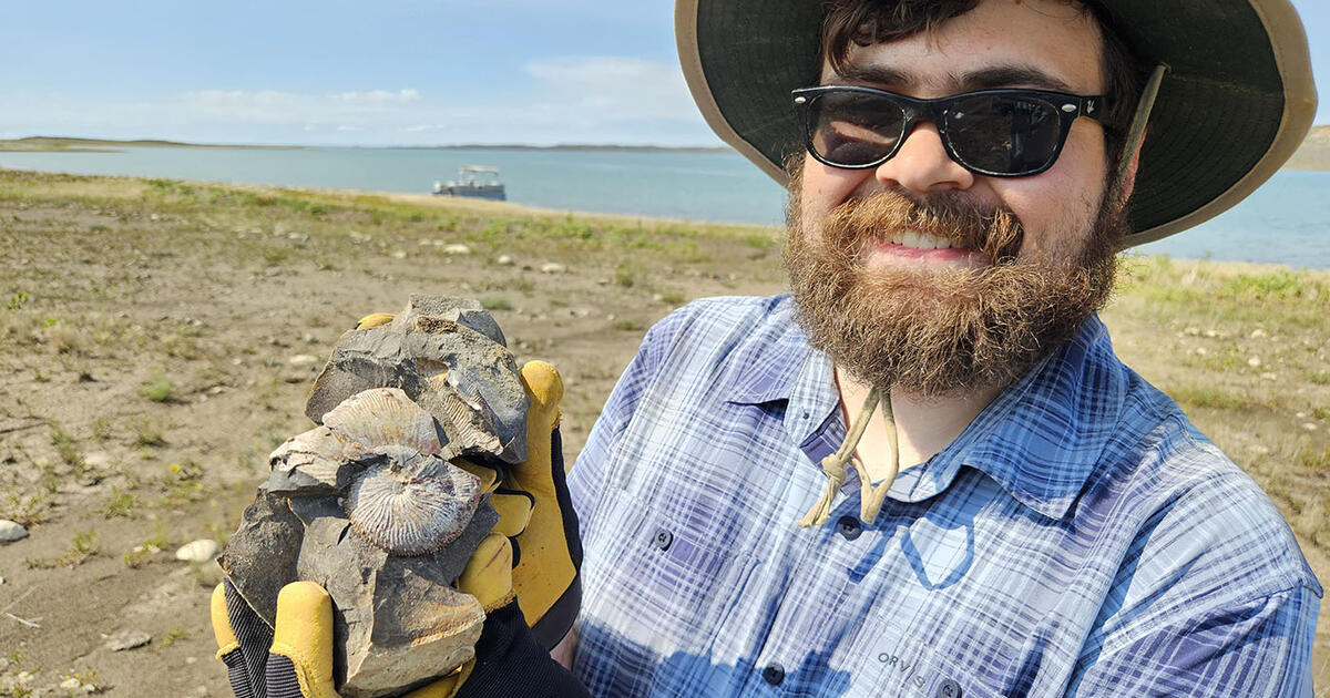 Peter Daly: Museum Specialist Fossil Invertebrates | AMNH