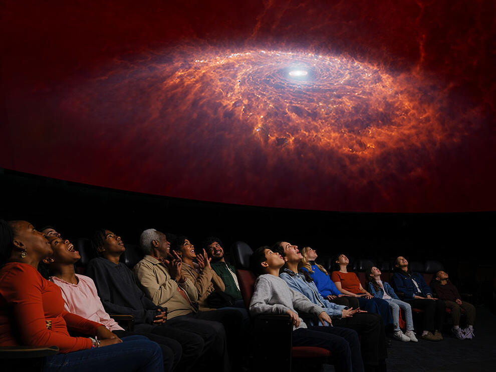 American Museum of Natural History | New York City