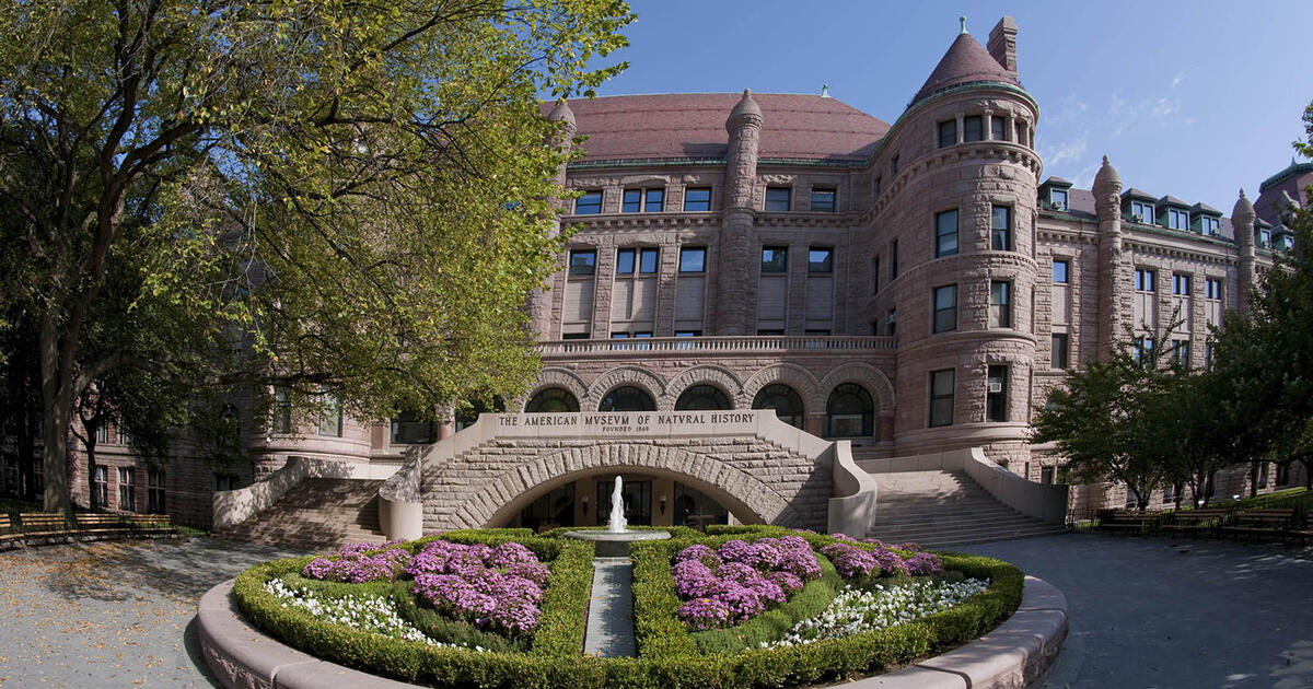 Visit, Research | AMNH