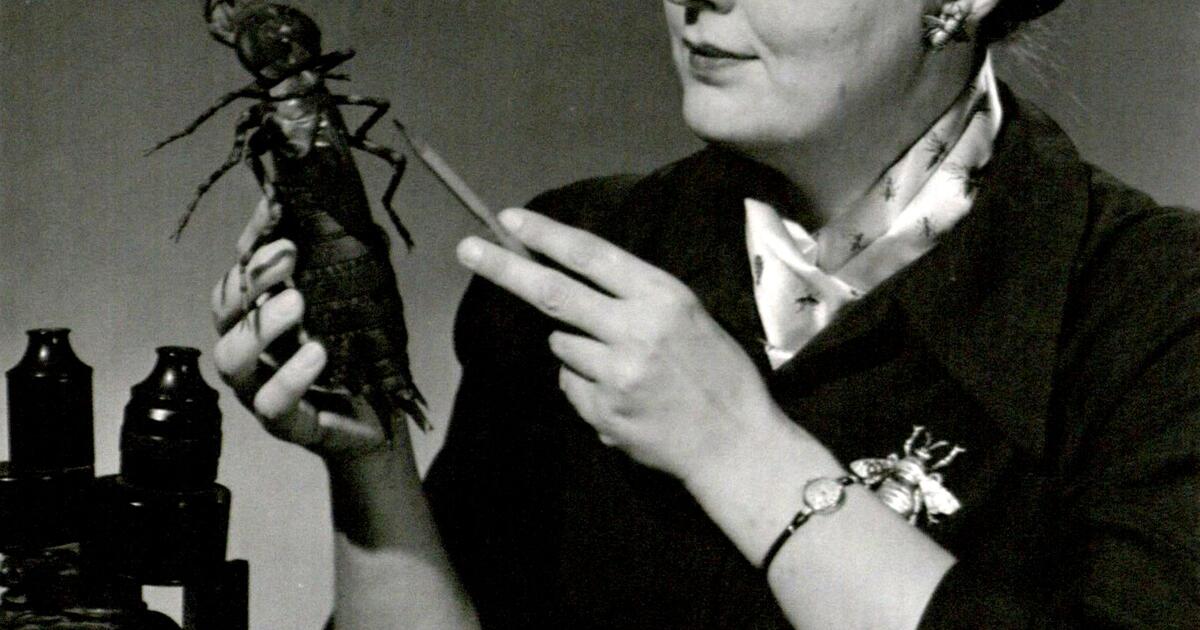 Alice Gray: Women in Museum History | AMNH