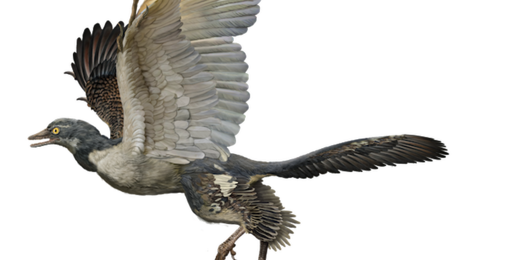 Prehistoric Flying Species Pack | Frontier Forums