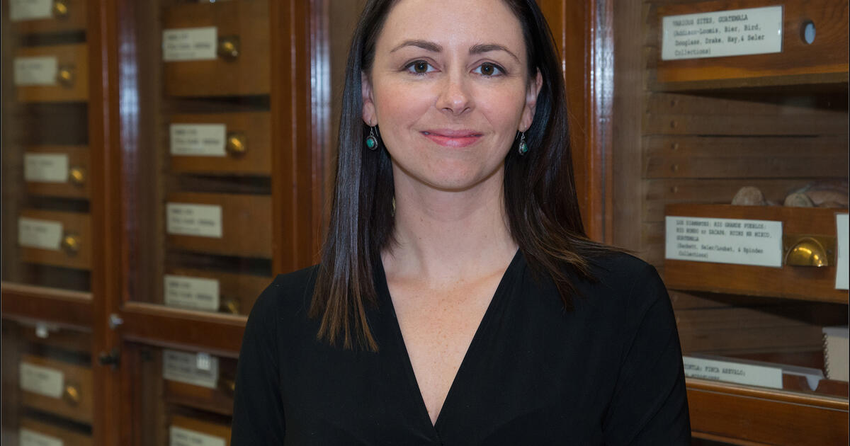 Dr. Ashley Hammond's Research | AMNH