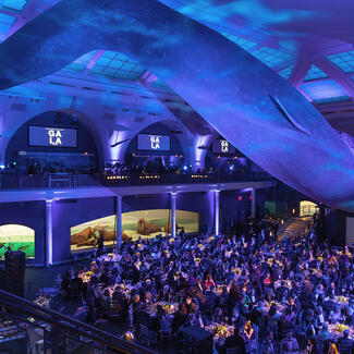 Host an Event | American Museum of Natural History