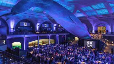 The Museum Gala: 2025 | American Museum of Natural History