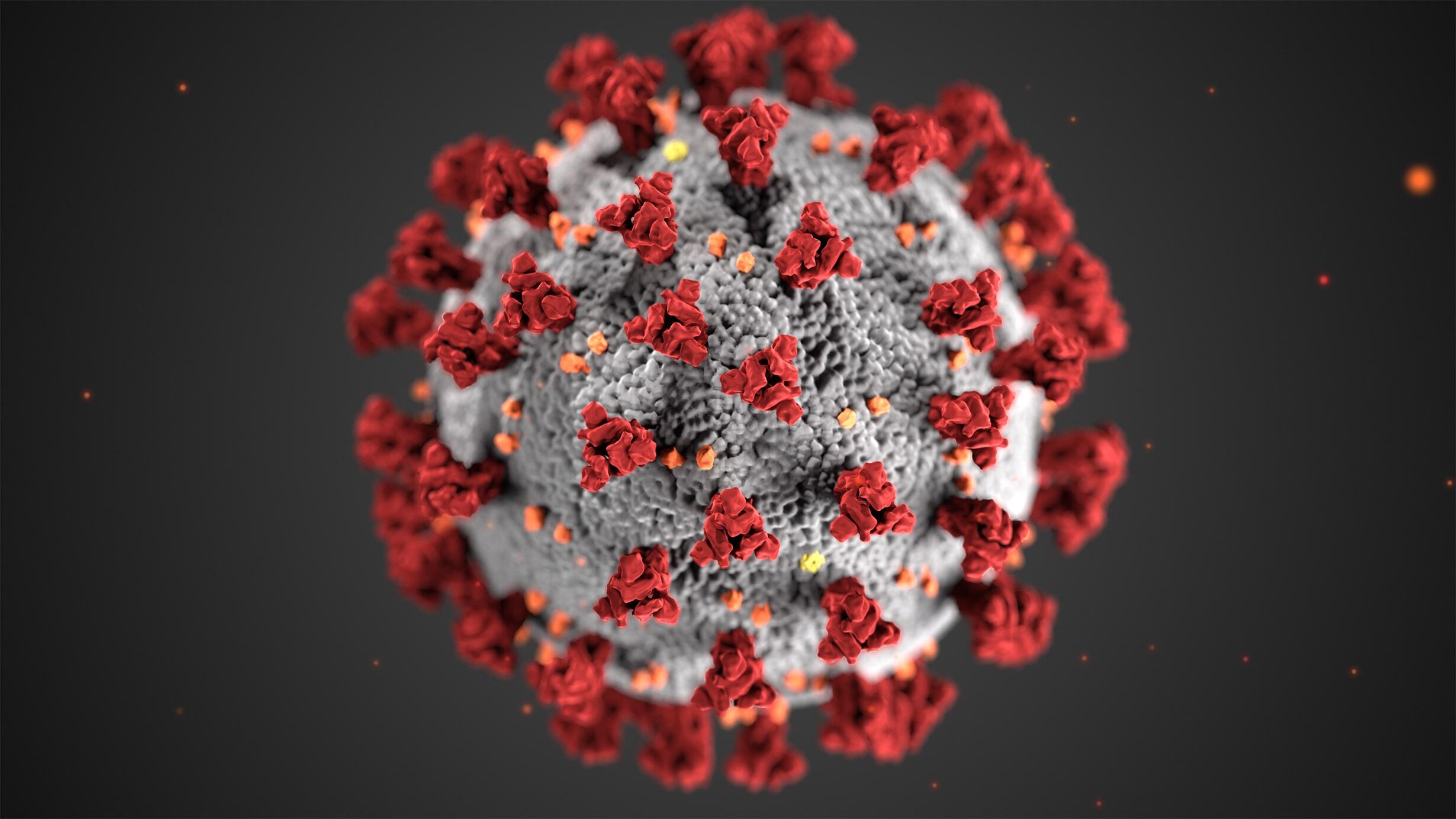 Lecture: Tracking Viruses with Sewer Surveillance - Jan 4 | AMNH