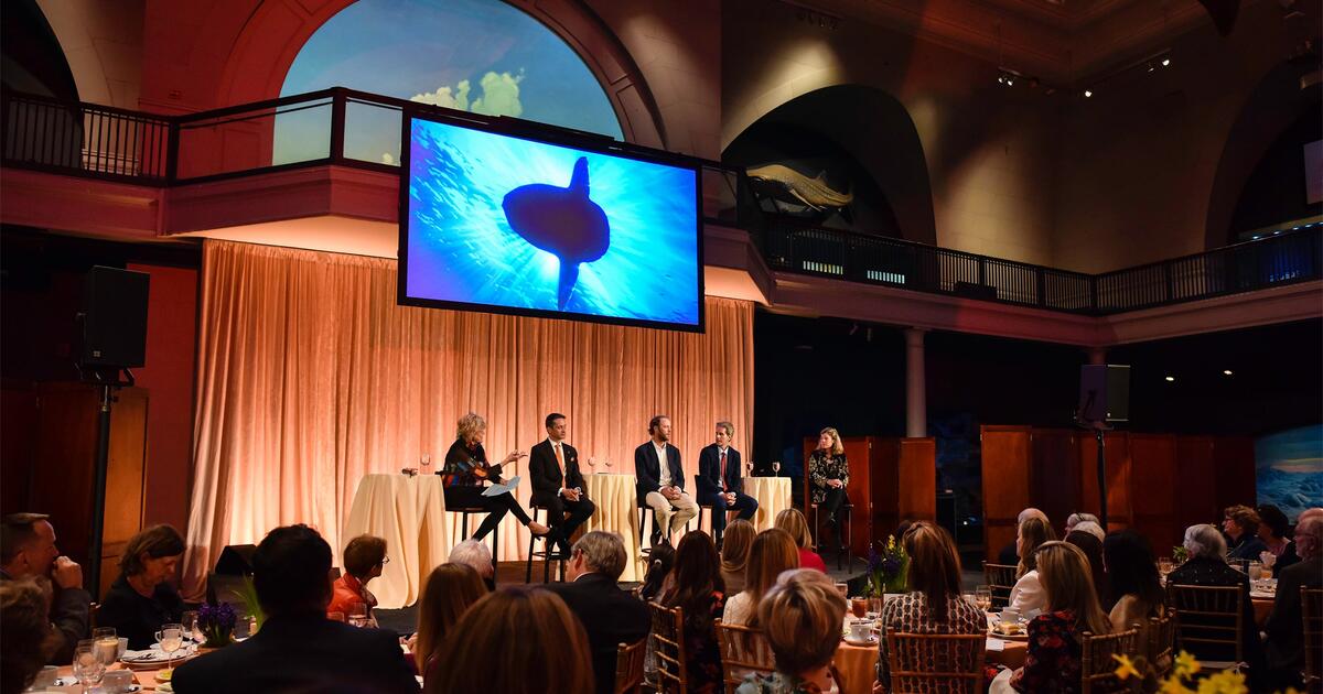 The Spring Lunch: Museum Benefit 4/18/23 | AMNH