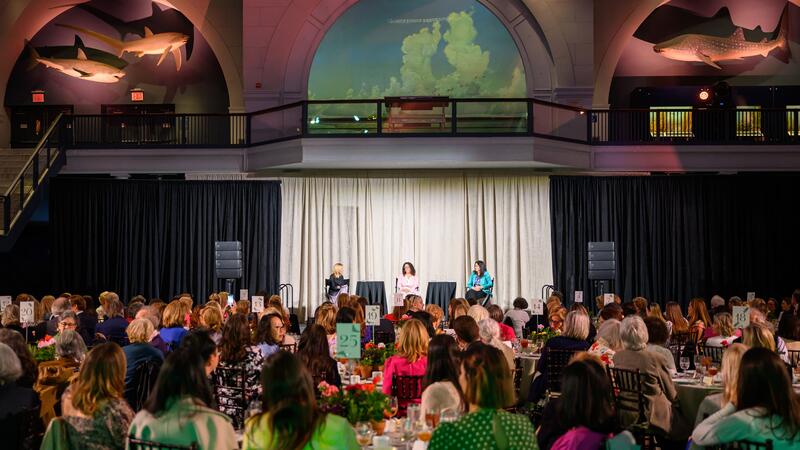 The Spring Lunch: Museum Benefit - April 17, 2024 | AMNH