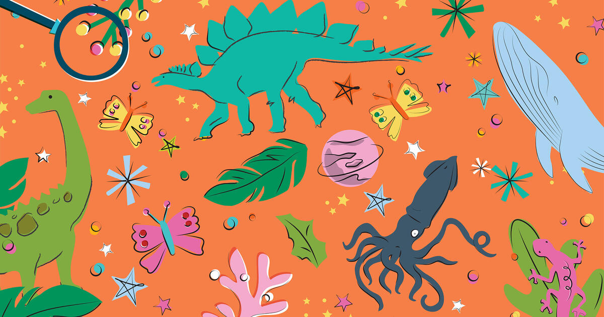 2025 Family Party: Annual Museum Event | AMNH