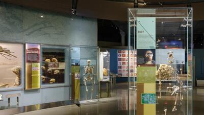 Educators’ Evening: Hall of Human Origins - May 9 | AMNH