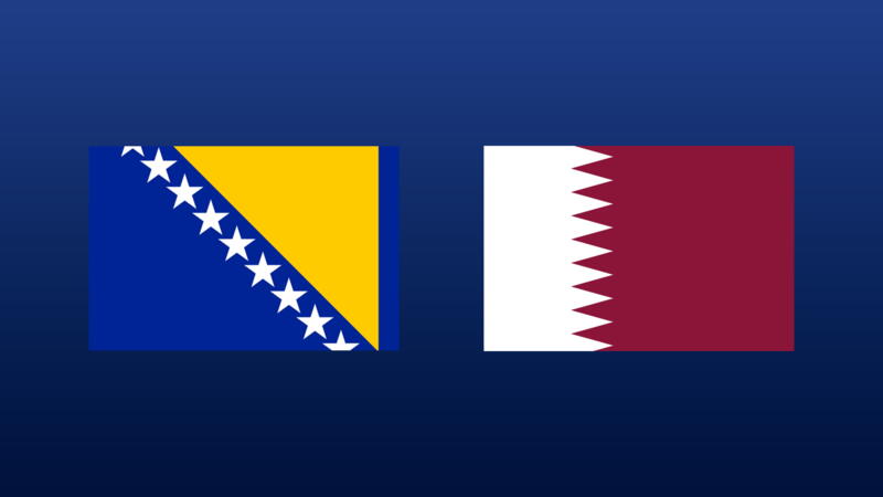 Bosnia-Herzegovina vs. Qatar: World Cup on the Big Screen | AMNH