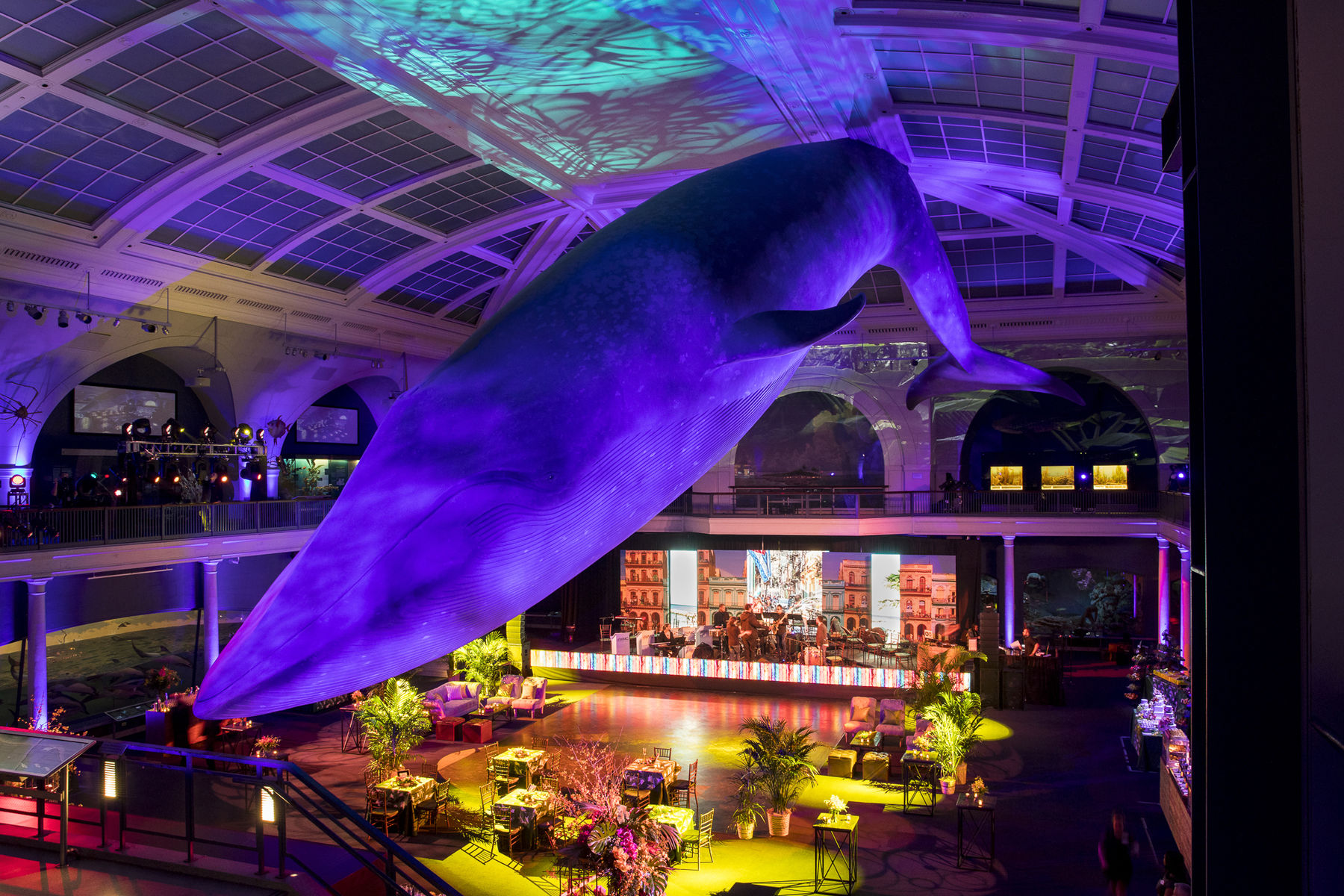 Event Space: Milstein Hall of Ocean Life | AMNH