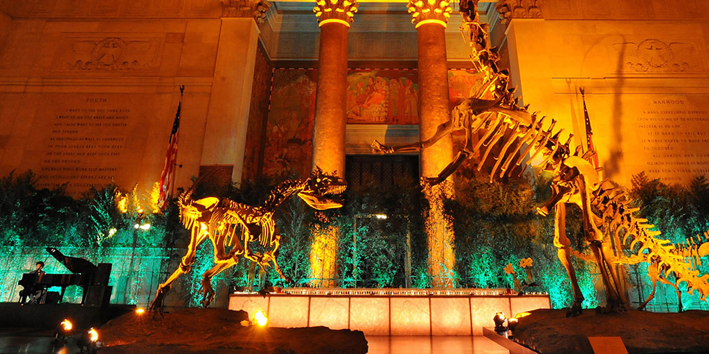 Large-Scale Receptions at the Museum | AMNH