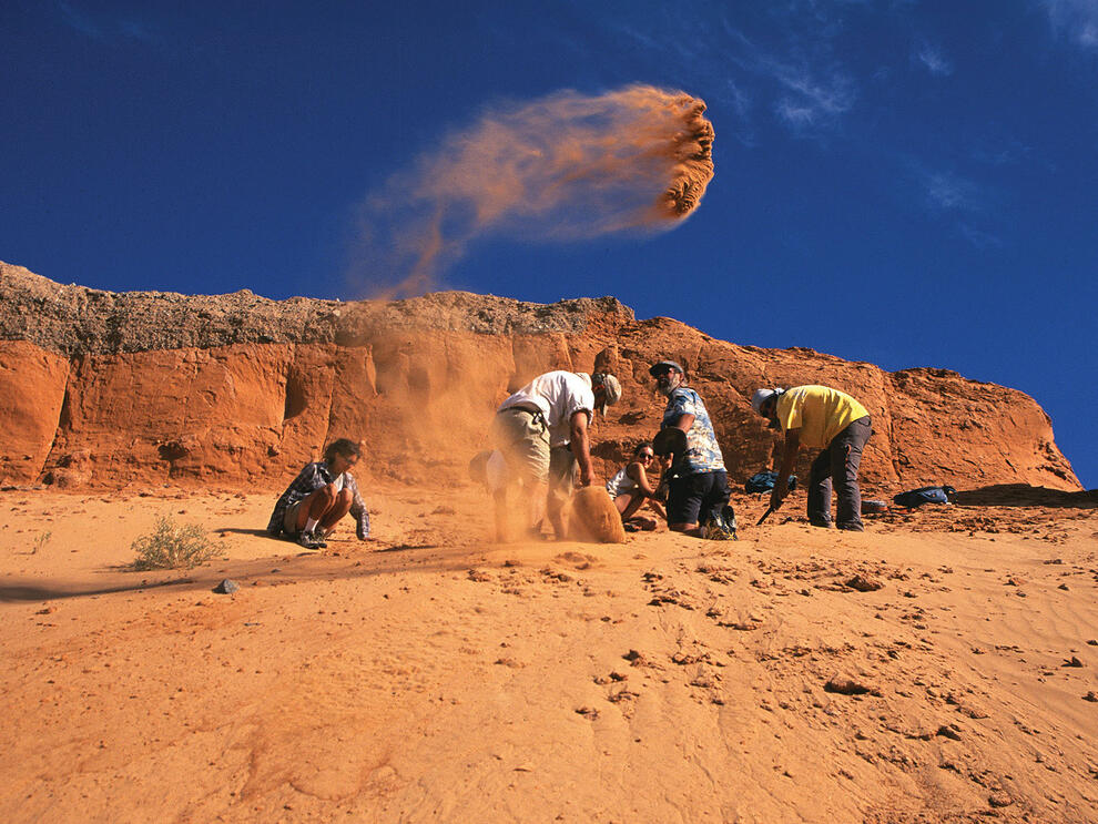 Fossils of the Flaming Cliffs: Gobi Excavations | AMNH