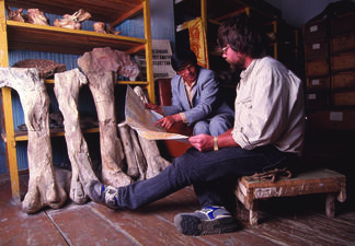 Fossils of the Flaming Cliffs: Gobi Excavations | AMNH