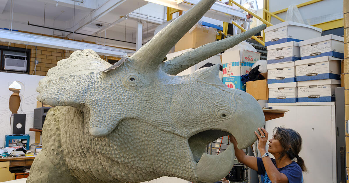 Impact: The End of the Age of Dinosaurs | AMNH