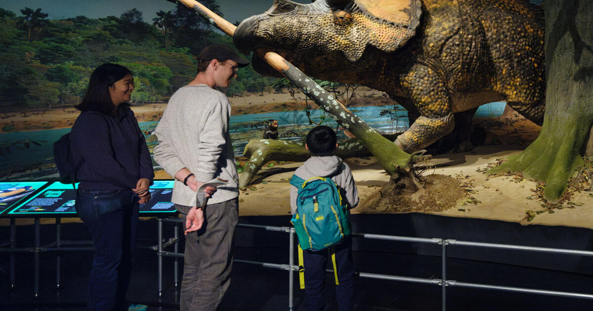 dinosaur extinction impact