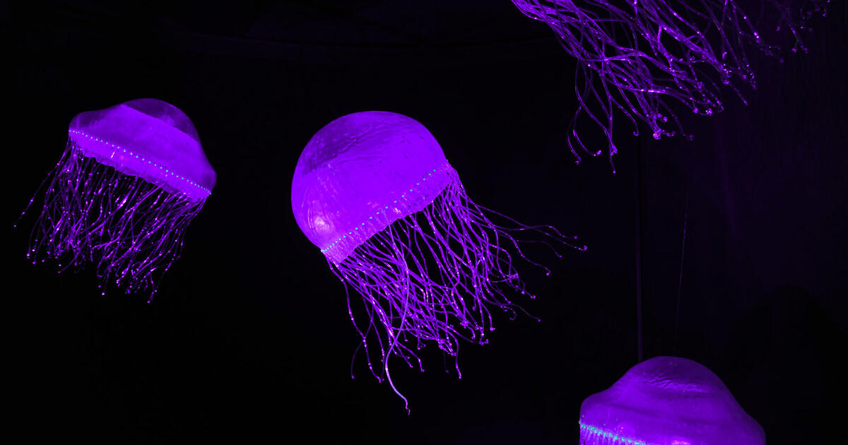 bioluminescent animals examples