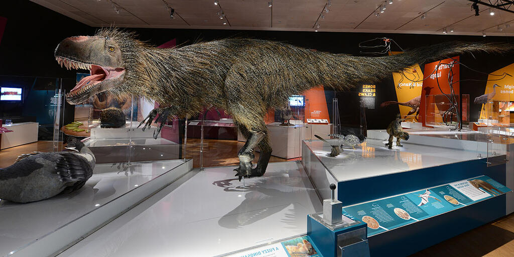 Yutyrannus Skeleton