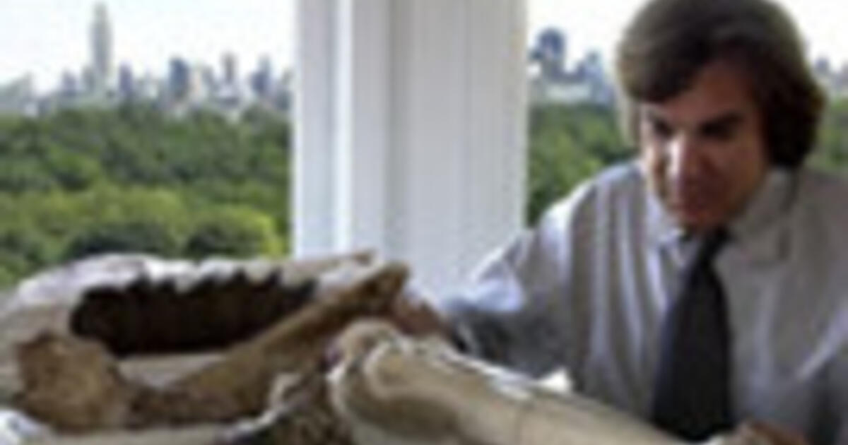 Interview with Paleontologist Mark Norell | AMNH