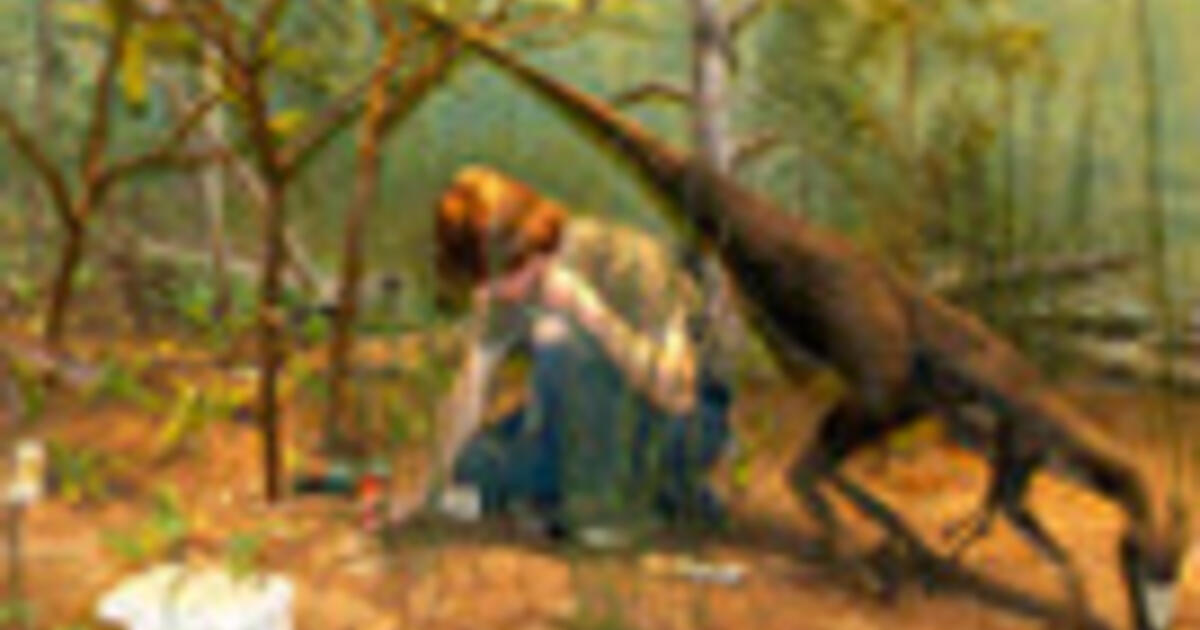 Behind the Scenes | AMNH