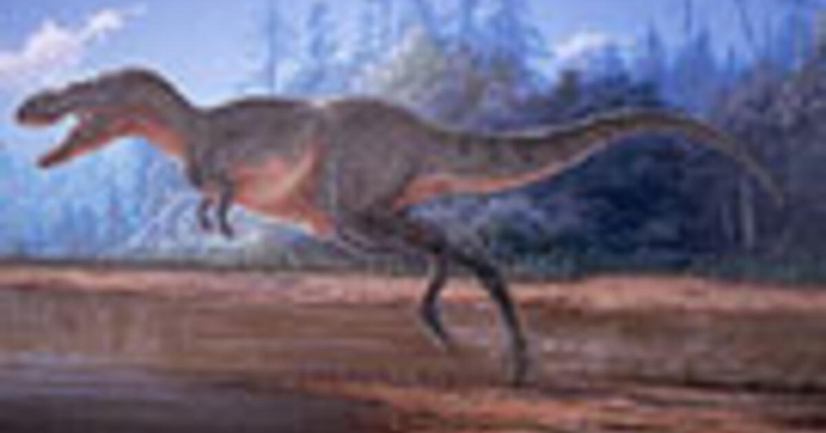 The Young and the Fast | AMNH