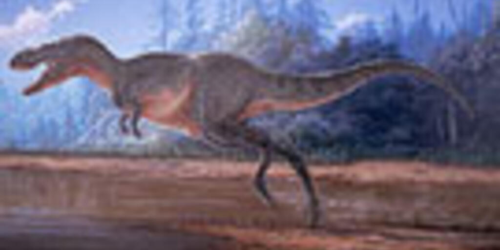 gorgosaurus size