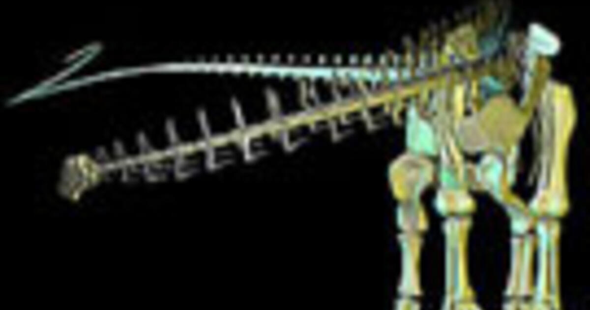 apatosaurus skeleton