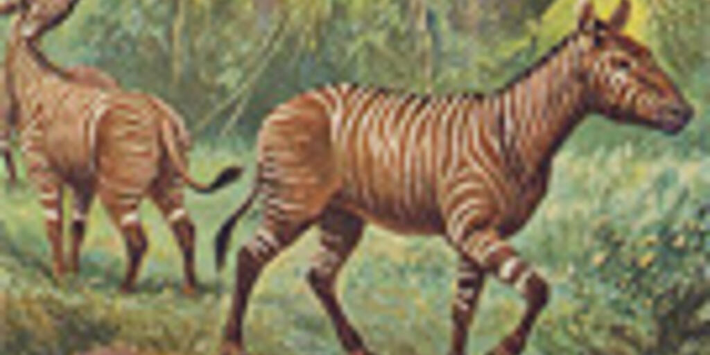 Prehistoric Giant Horse