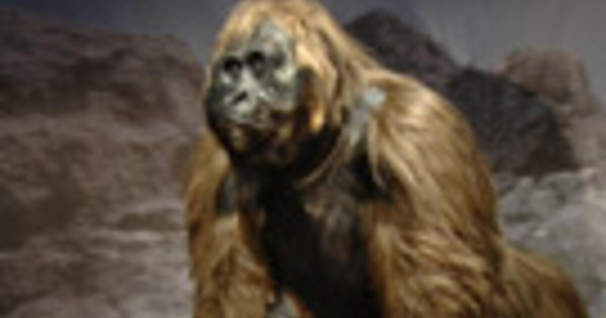 Mythical Earth Creatures