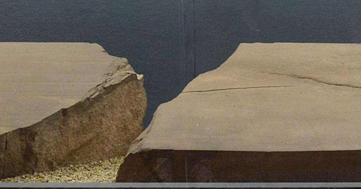 Triassic Red Sandstone Slab | AMNH