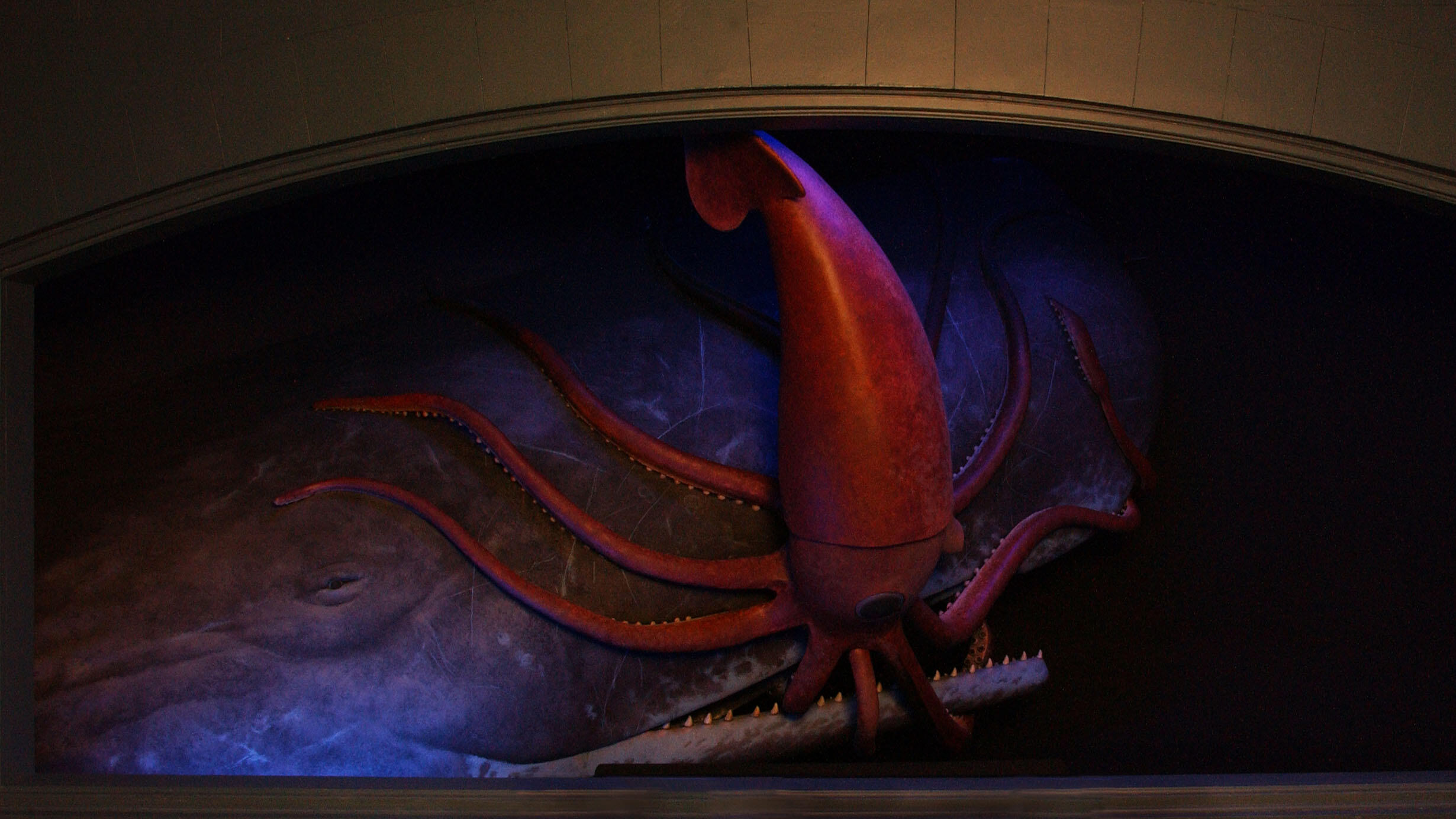 Sperm Whale and Giant Squid | AMNH