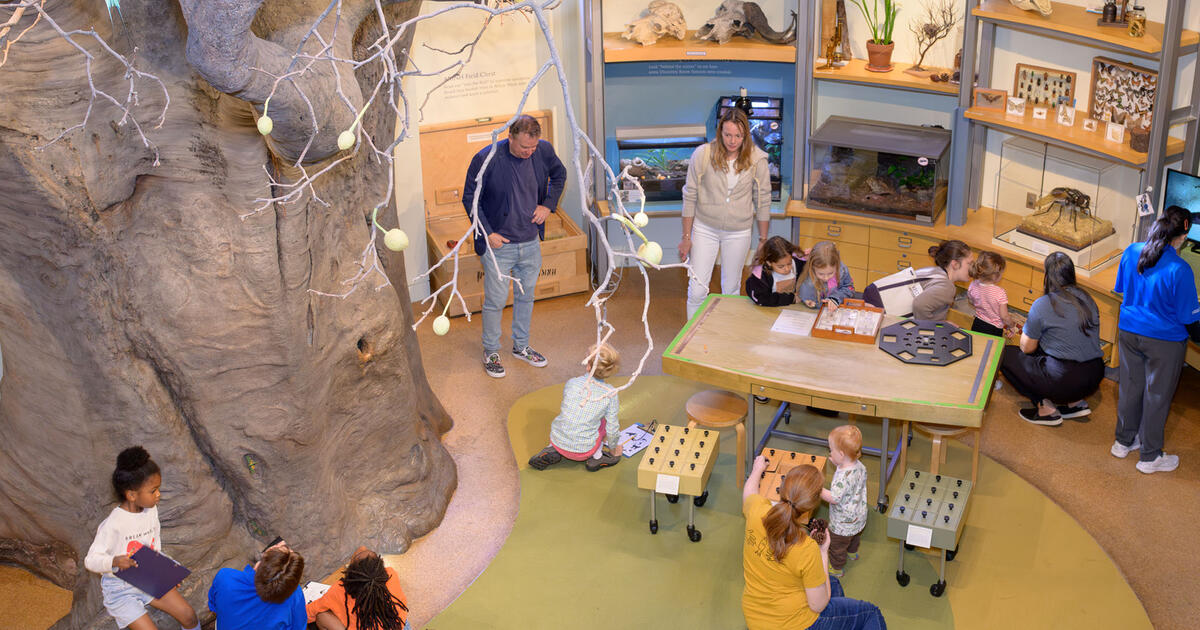 Hands-on Science for Kids: Learning in the Discovery Room | AMNH