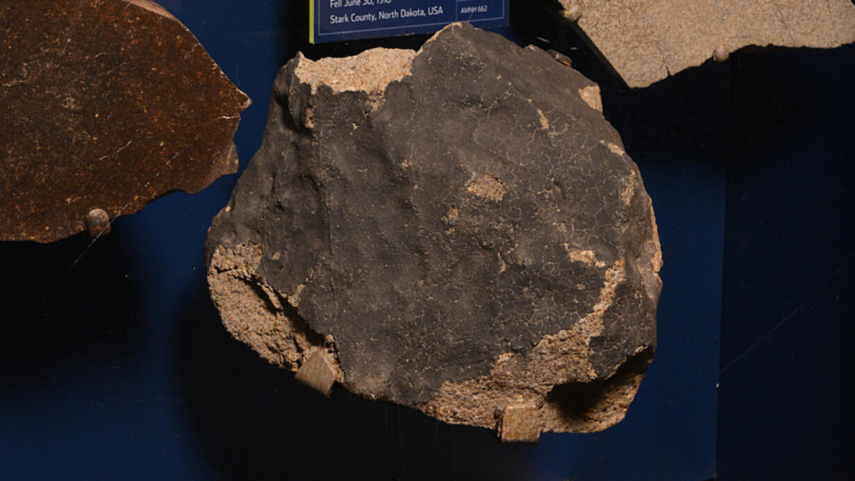Richardton | AMNH