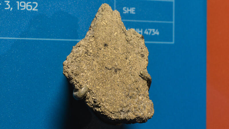 Basaltic Meteorites: Different Origins, Similar Makeups | AMNH