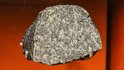 Pieces of Mars: Meteorites Gave Insight to Red Planet | AMNH