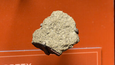 Pieces of Mars: Meteorites Gave Insight to Red Planet | AMNH