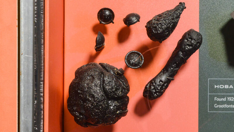 Australasian Tektites | AMNH