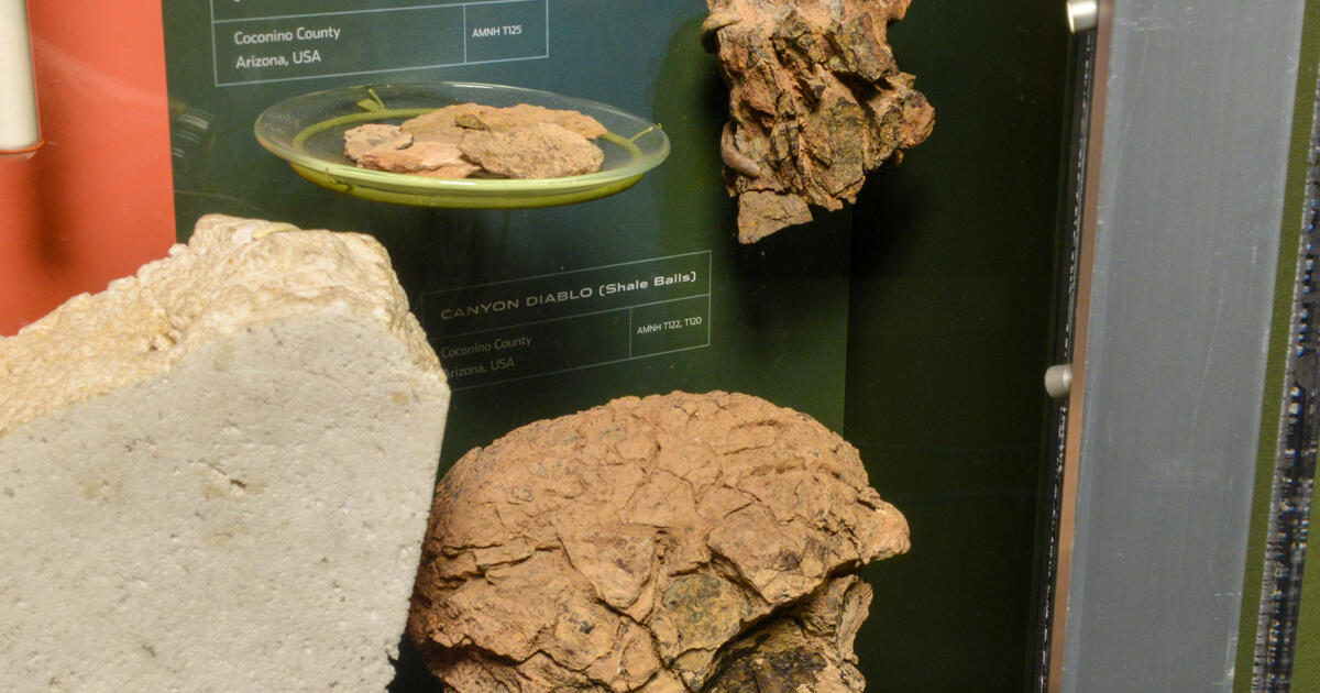 Canyon Diablo (Shale Balls) | AMNH