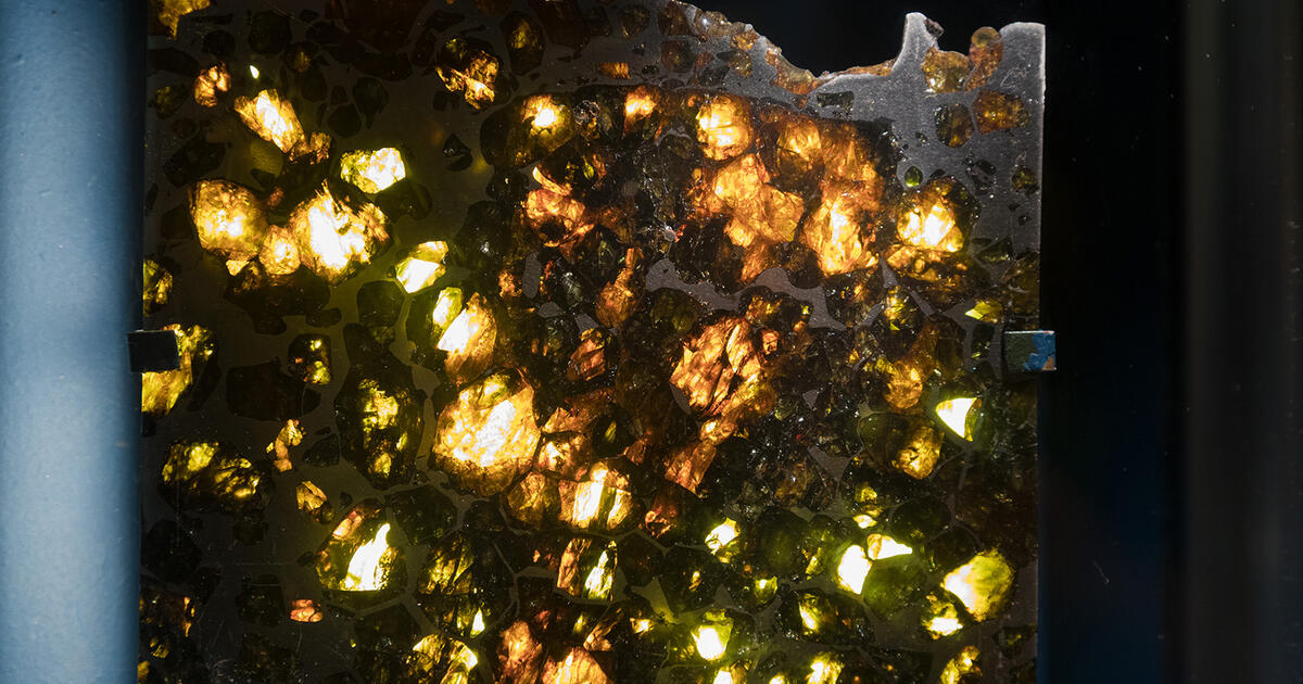 Esquel | American Museum of Natural History