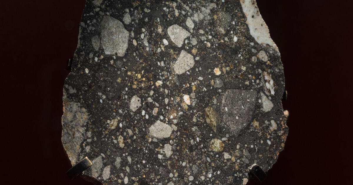 Lunar Meteorites: Fragments from the Moon | AMNH