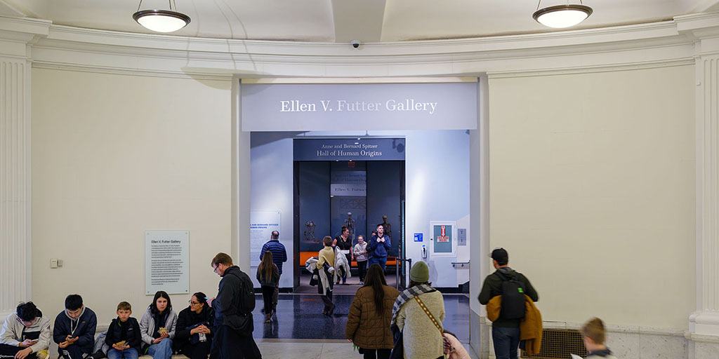 Ellen V. Futter Gallery | American Museum of Natural History
