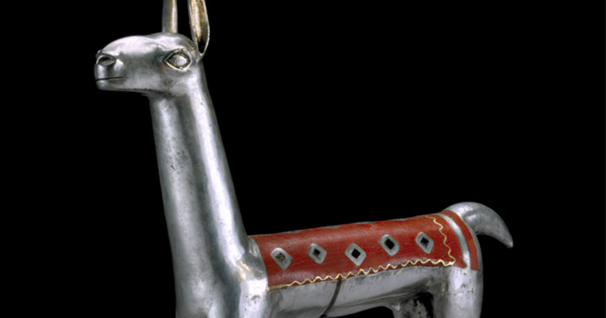 Royal Llama of the Inca | AMNH